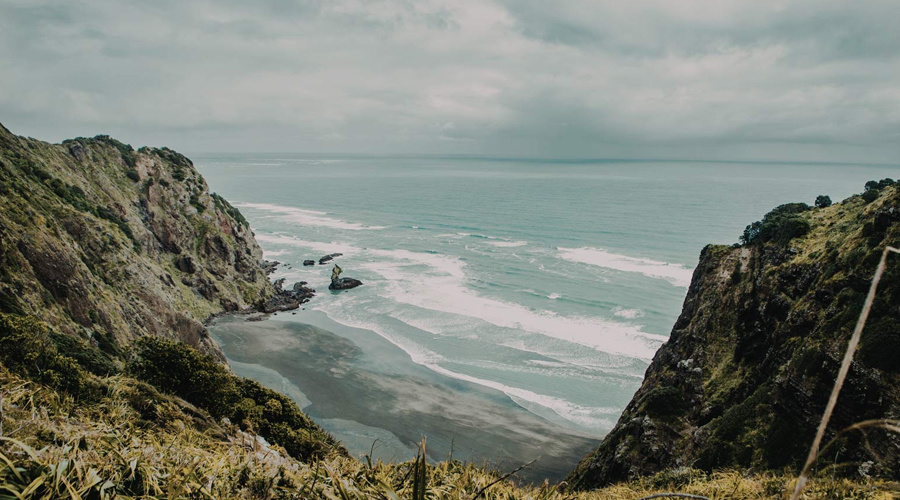 The dog-friendly walks you and your pup need to visit asap