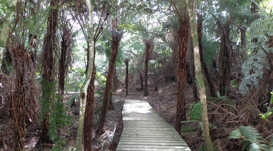 The dog-friendly walks you and your pup need to visit asap