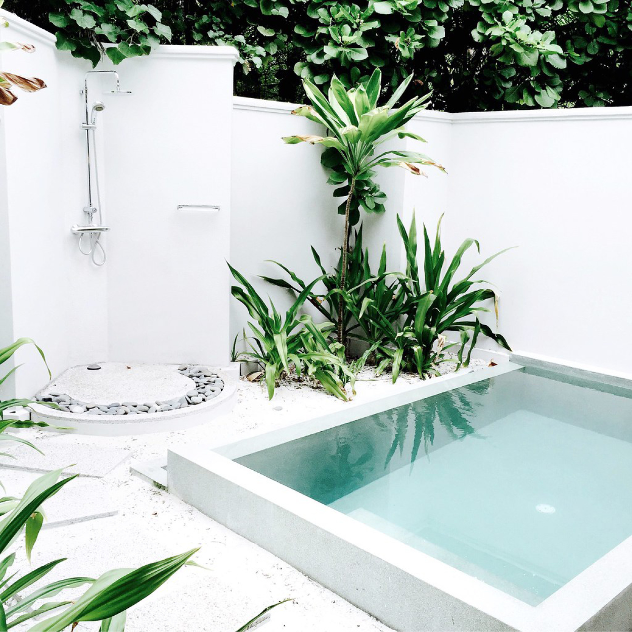 These plunge pools are all the inspiration you need to create your ...