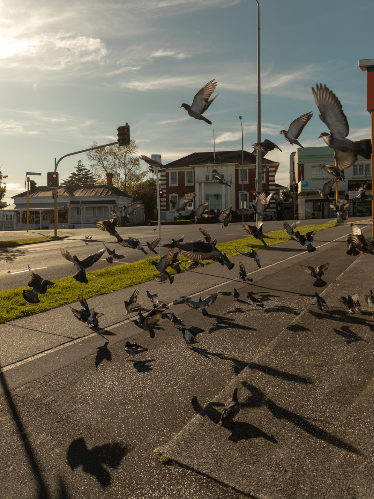 These photos capture the eerie and unsettling beauty of Auckland in ...