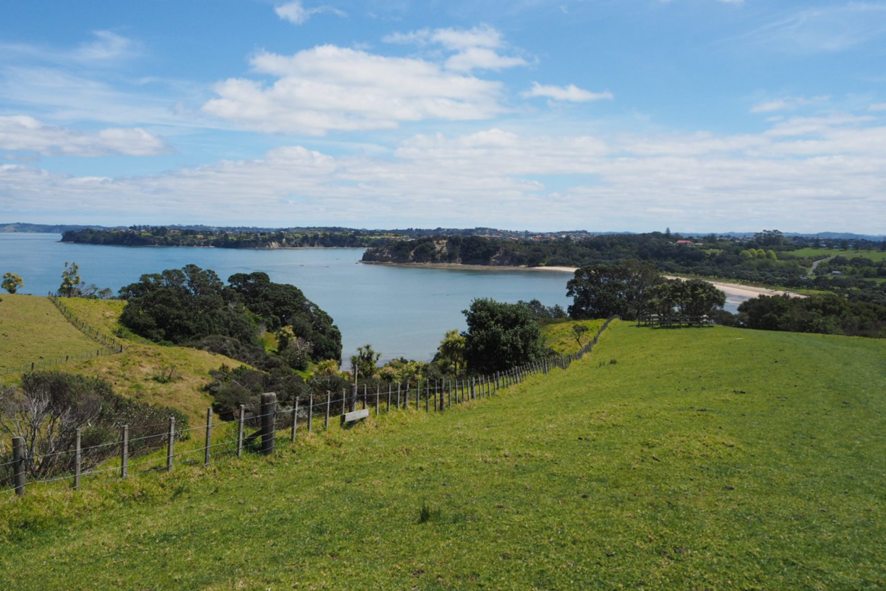 Auckland walks and hikes to help you rediscover the outdoors