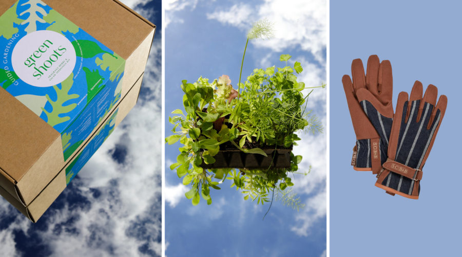 Green Shoots is the new garden kit making it easy to kick-start your ...