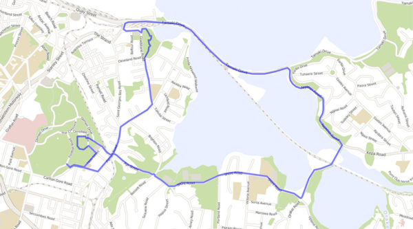 Auckland city's best running routes to try, from urban parks to the ...