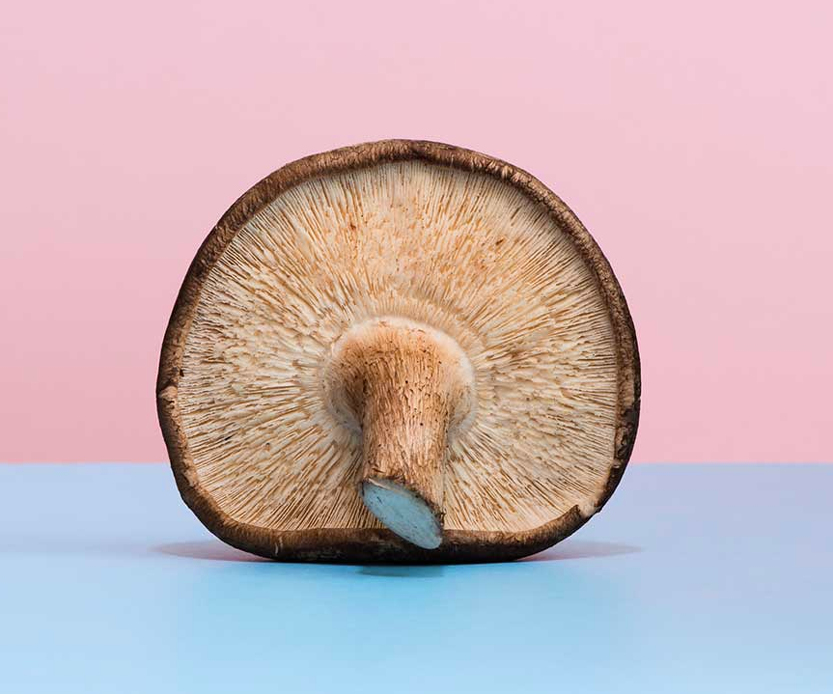 These 6 immune foods will protect your body from sickness this autumn