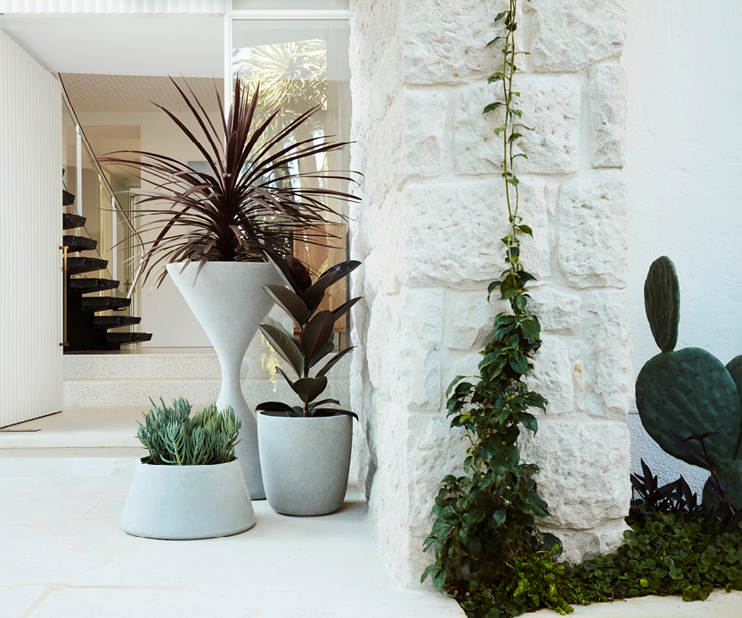Here's how to display your favourite pot plants like works of art - Denizen