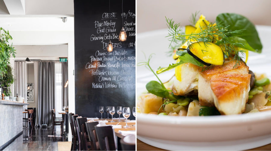 Auckland's best restaurants for celebrations