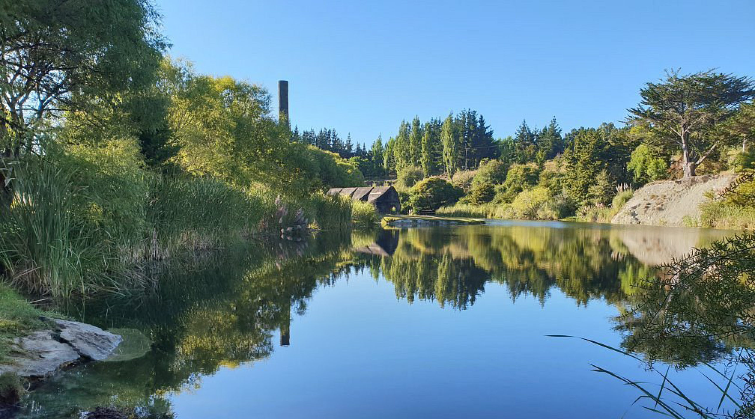 Five of the best picnic spots in Auckland