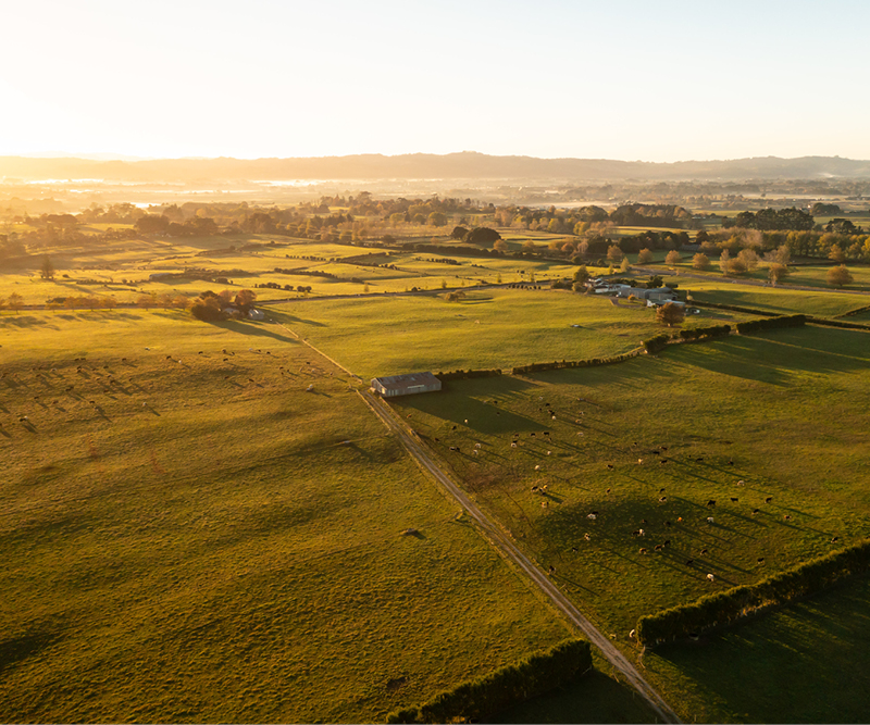 Fortland Capital is opening up land investment in a whole new way