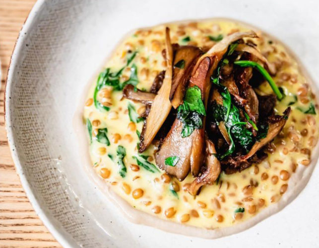 The best New Zealand restaurants to visit on your next road trip