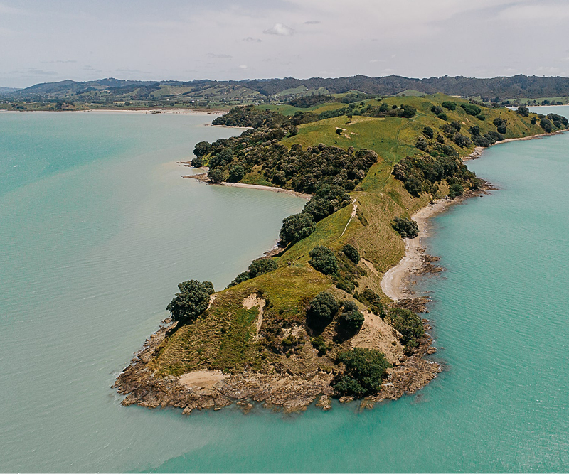 These are the best walks and hikes around Auckland