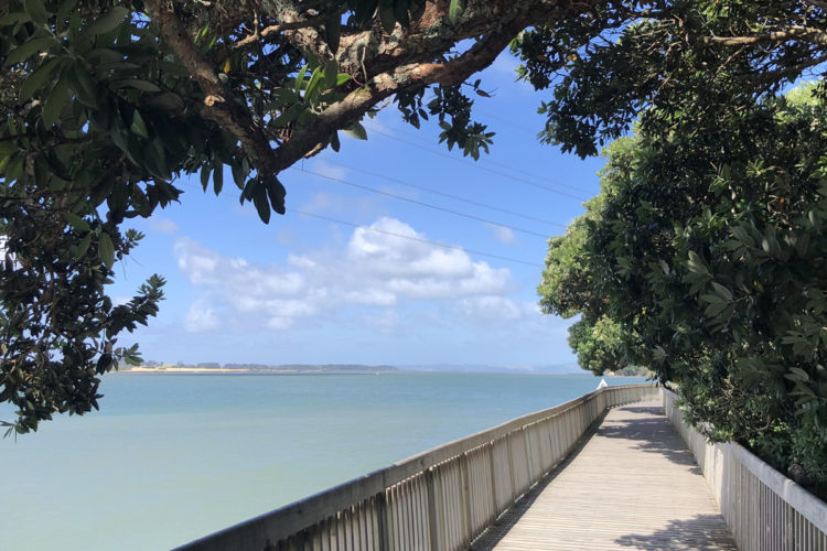 These are the best walks and hikes around Auckland