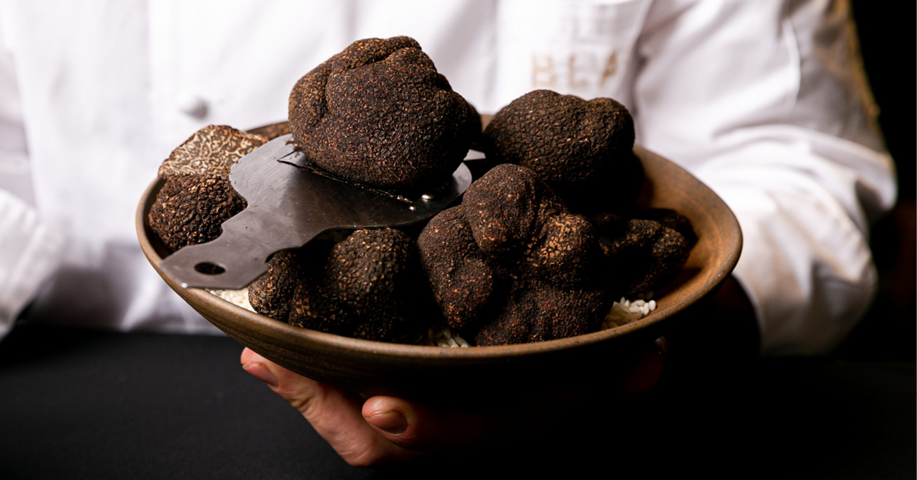 Truffle season is back! These are the best truffle dishes in town