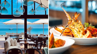 Discover the best Waiheke restaurants with our definitive guide