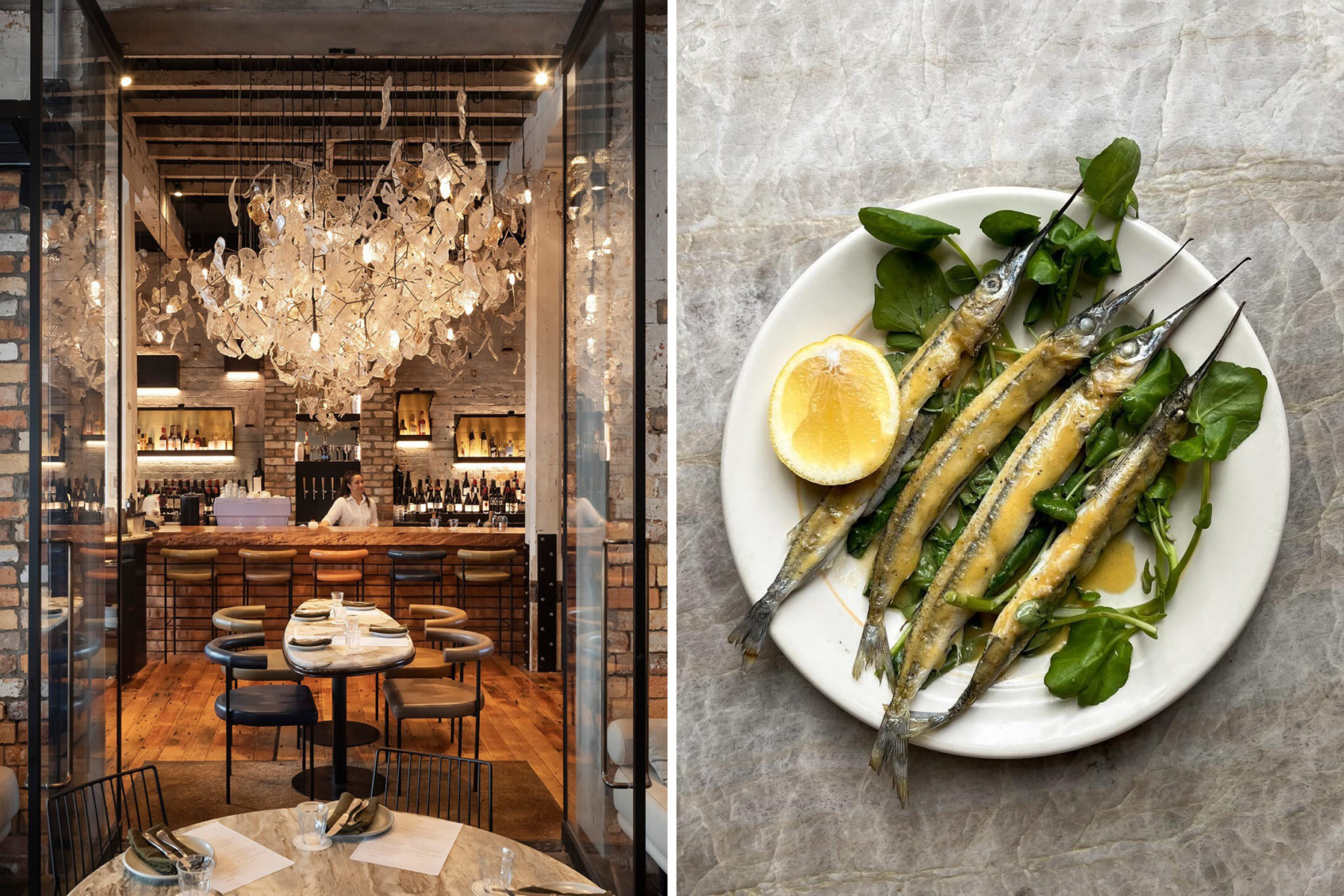 Make the most of the incredible events this summer in Auckland