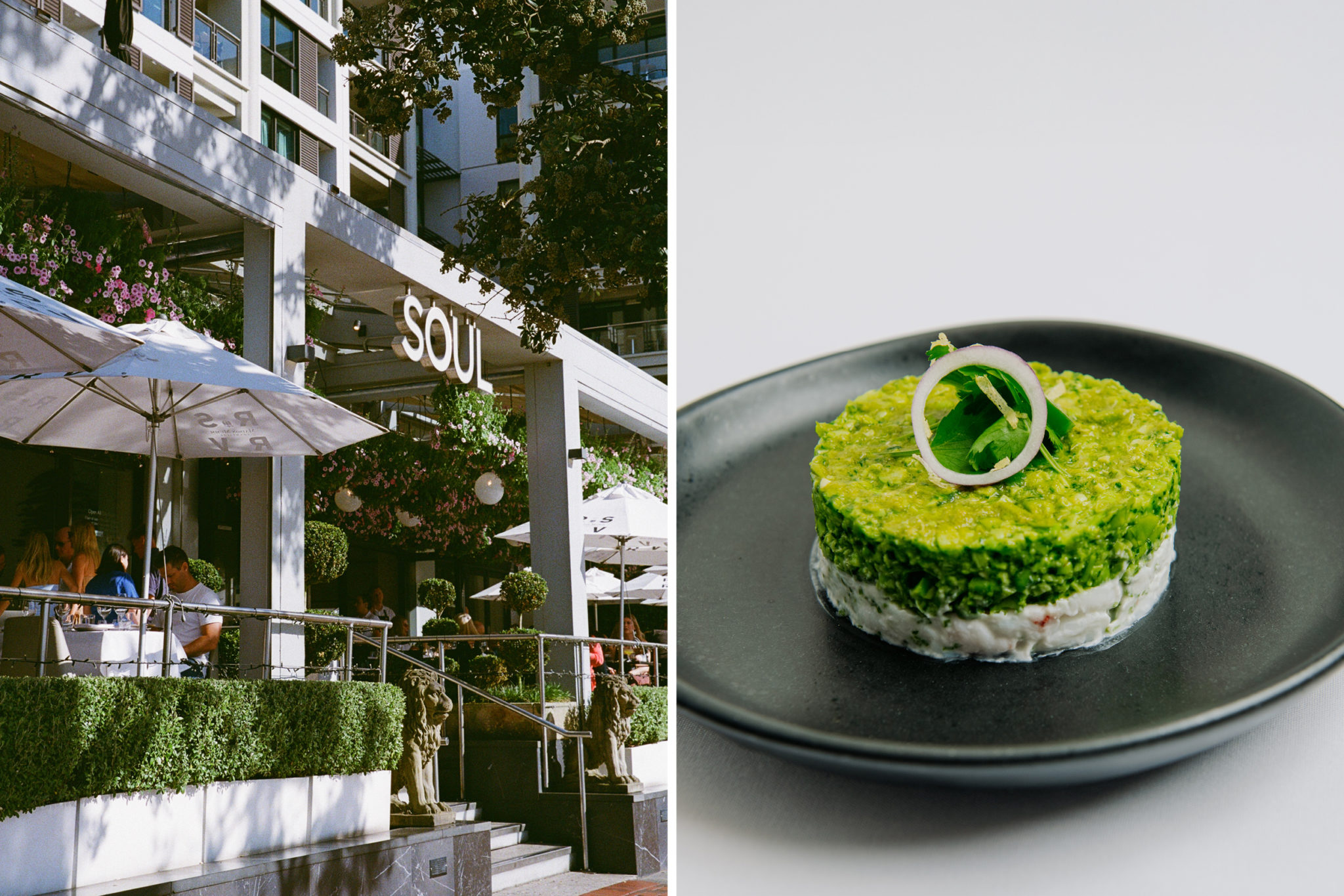 Make the most of the incredible events this summer in Auckland